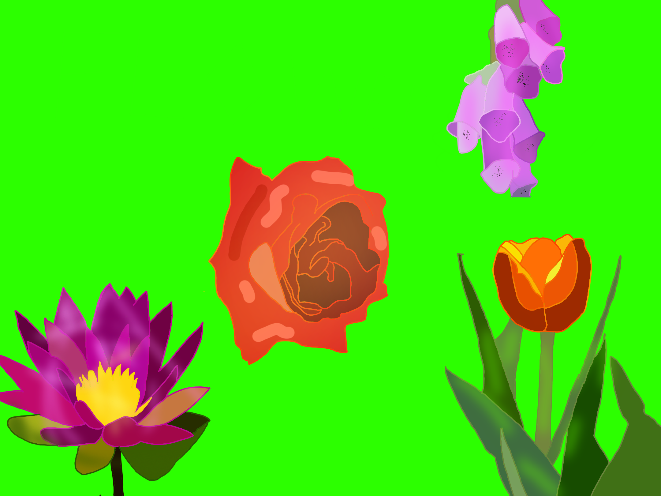 Spring with Sketchbook: The Winners! – Edinburgh Learns Digital